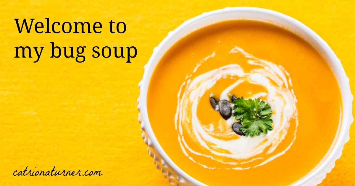 Welcome to my bug soup – Catriona Turner Books & Blog